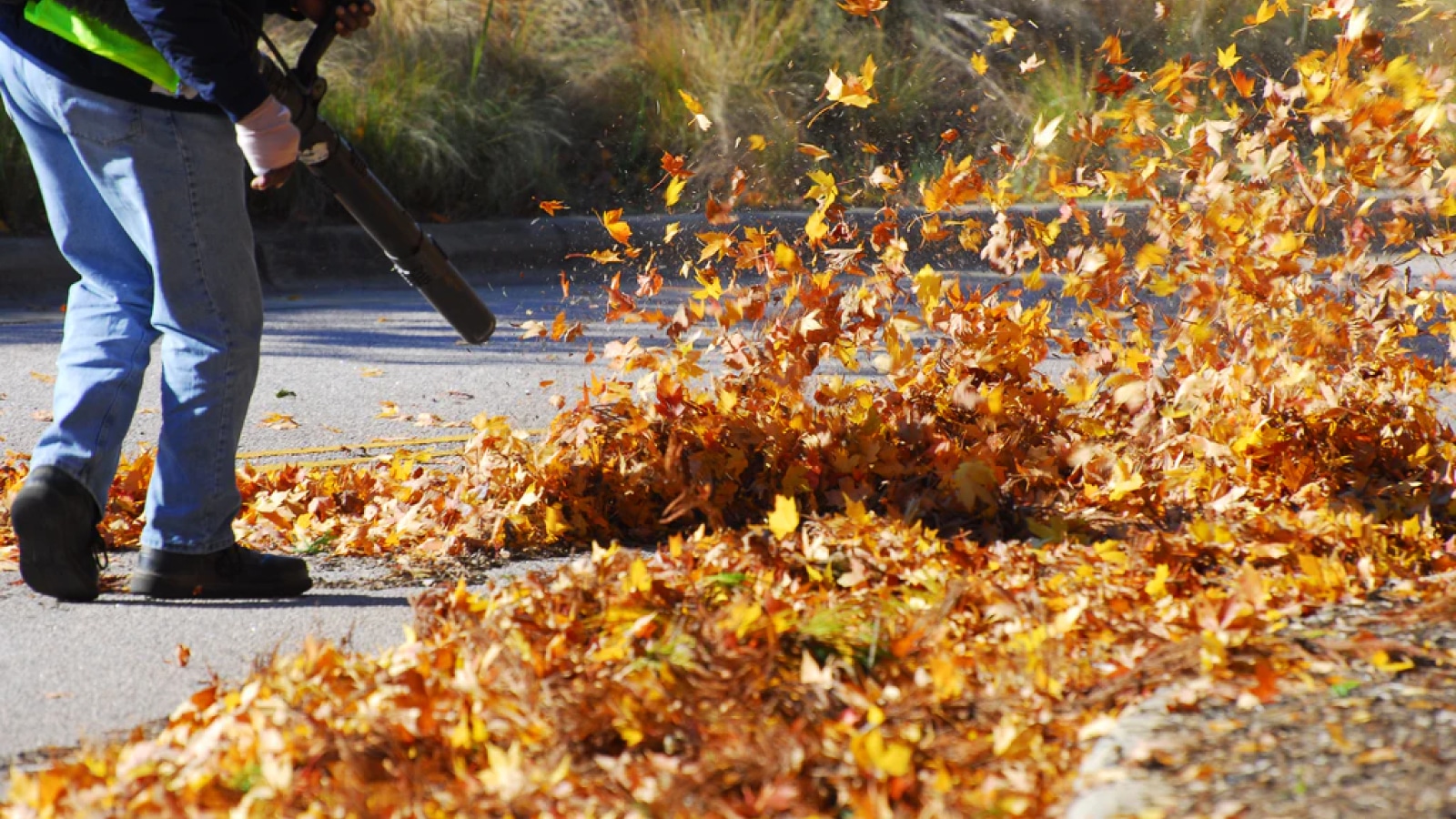 Best 5 Handheld Leaf Blowers of 2025: Clean Your Yard in Minutes