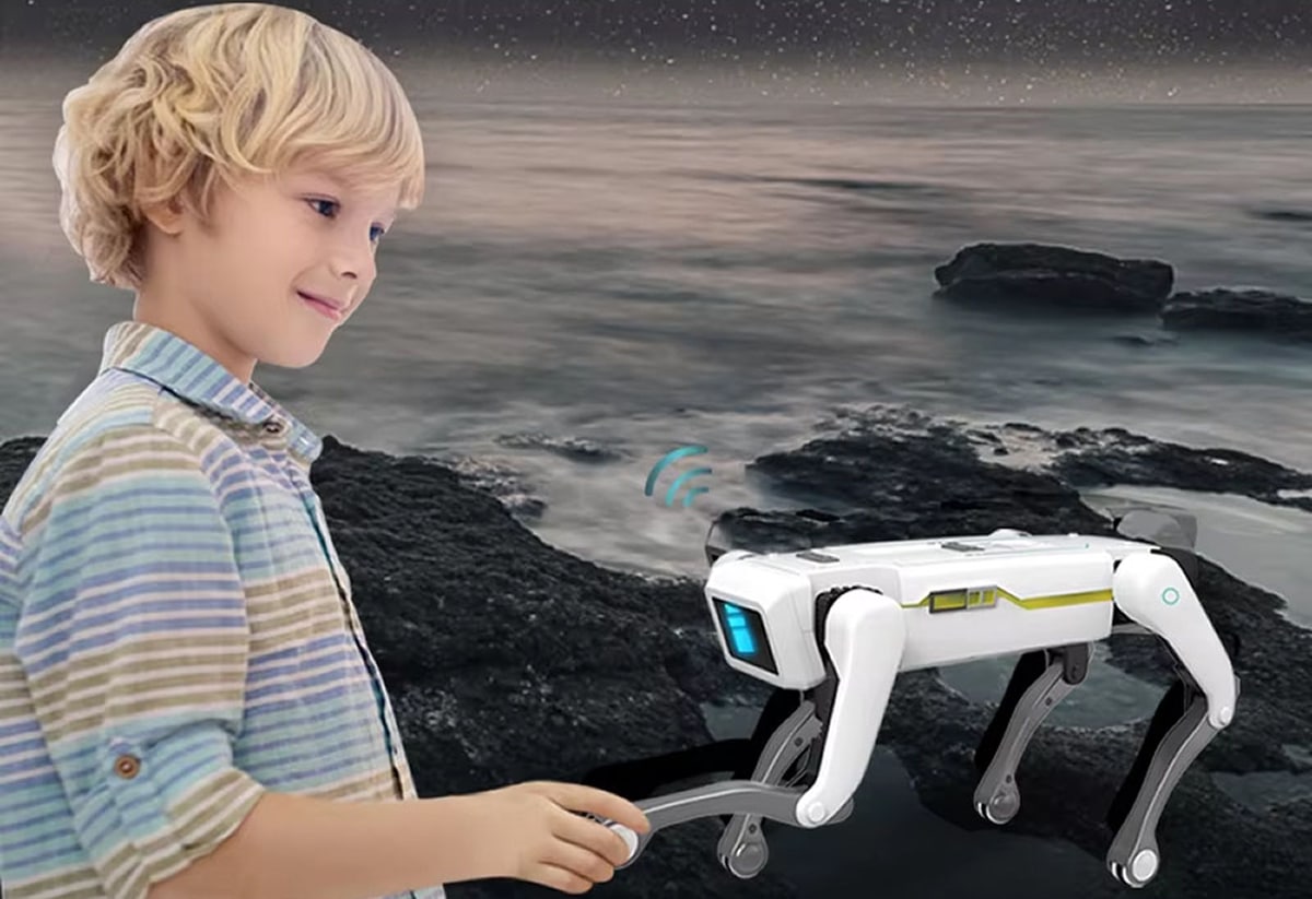 Best 5 Robot Dogs of 2025