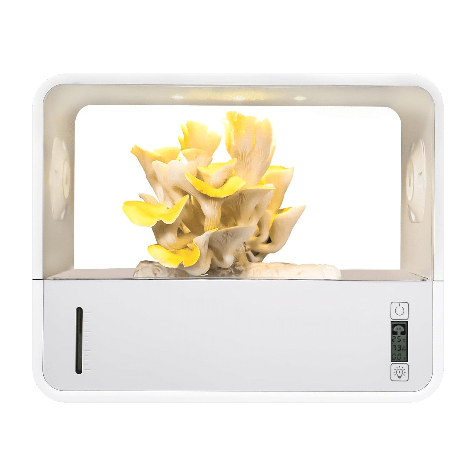 Best 5 Mushroom Growing Kits of 2025: Expert Reviews & Buying Guide ...