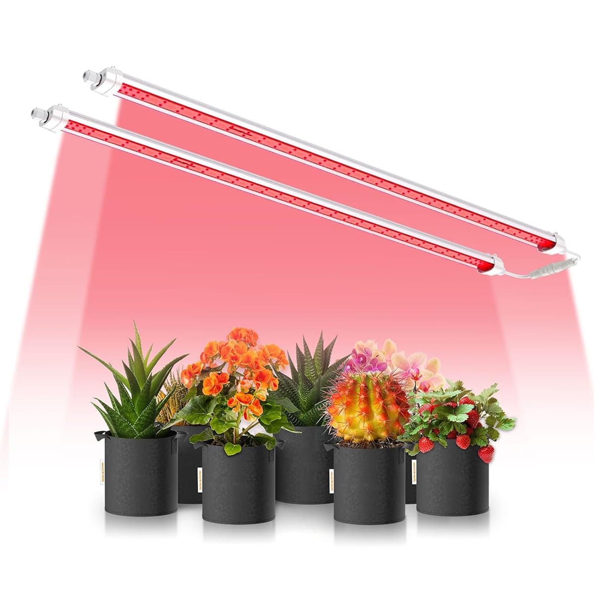 Best 5 Spectrum Waterproof Plant Lights of 2025 for Greenhouse