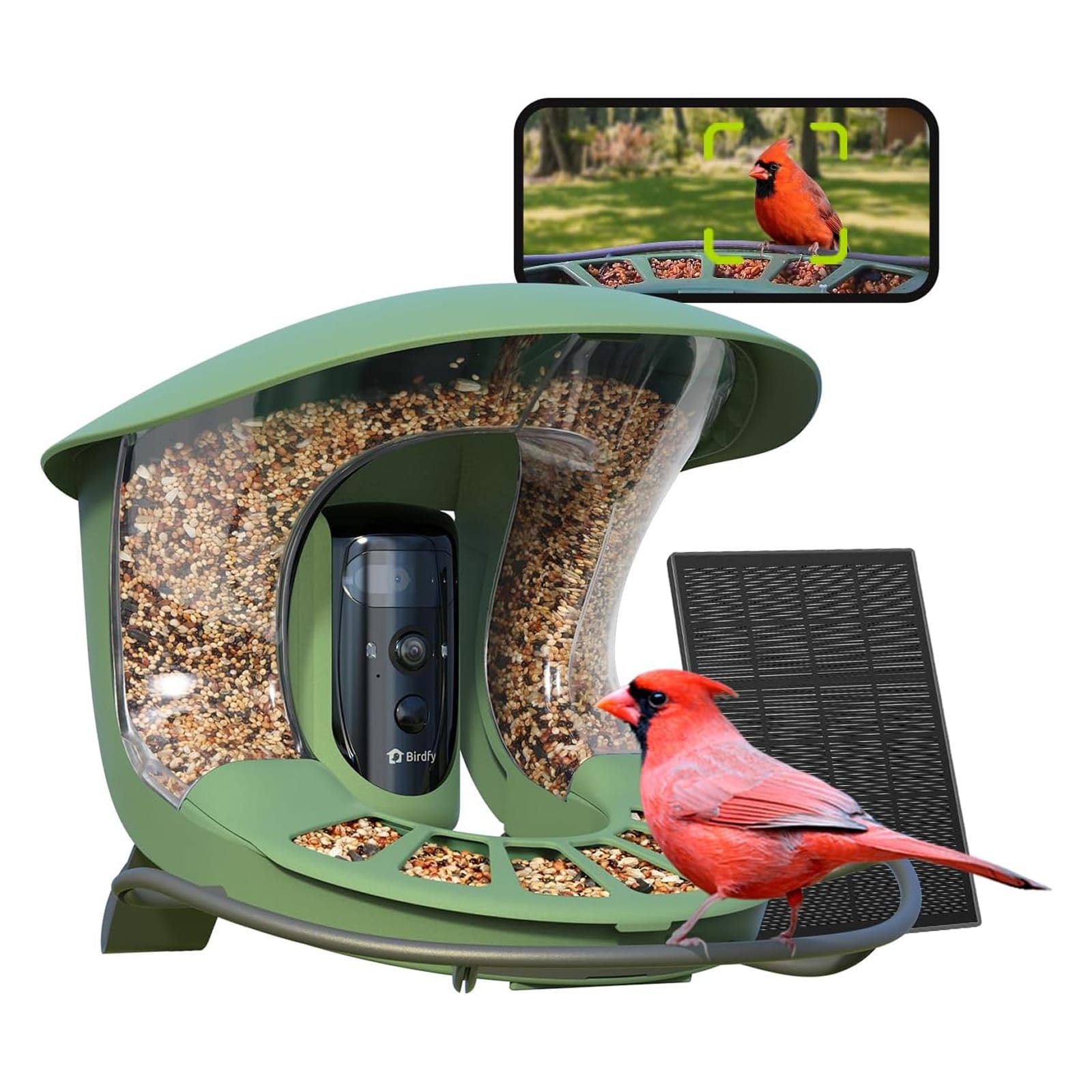 Best 5 Smart Bird Feeders of 2025: Transform Your Backyard Into a ...