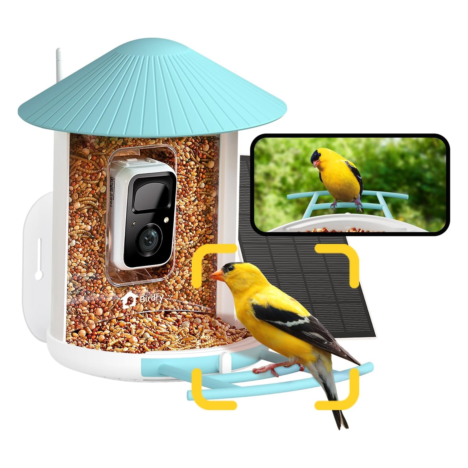 Best 5 Bird Feeder Cameras of 2025: Transform Your Backyard Into a ...